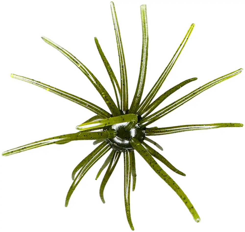 Hag's Baits Prickly Pear - 19mm - TikTok Shop